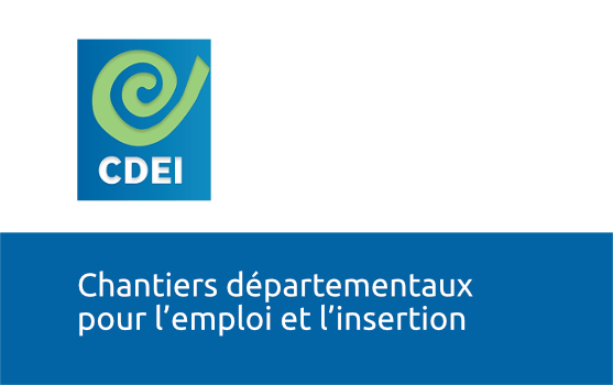 CDEI - Akolad Solutions